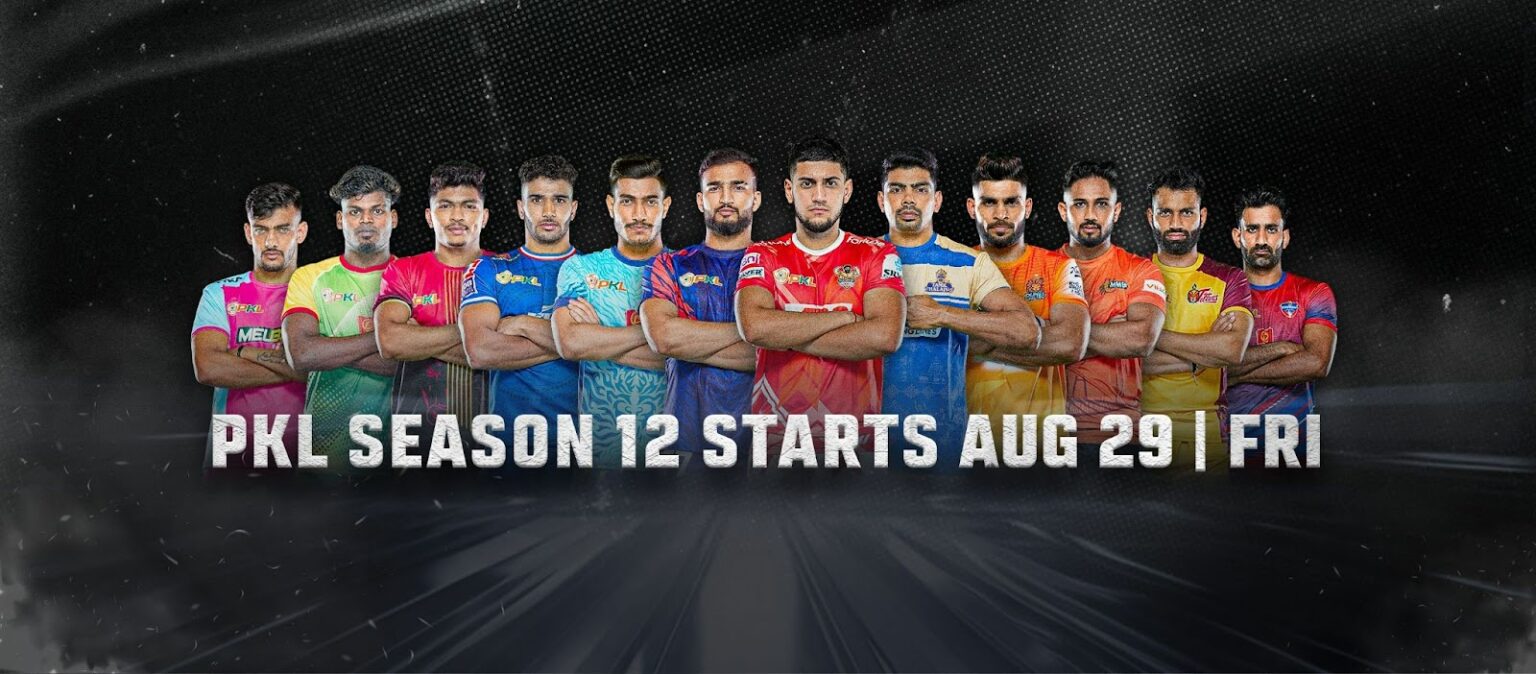 The Definitive Pro Kabaddi Player List 2025: An Expert Breakdown of All 12 Squads - VIPJEE OFFICIAL
